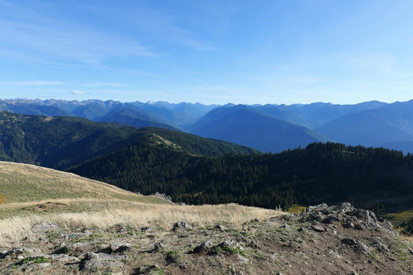 Leadership - Aspen Institute